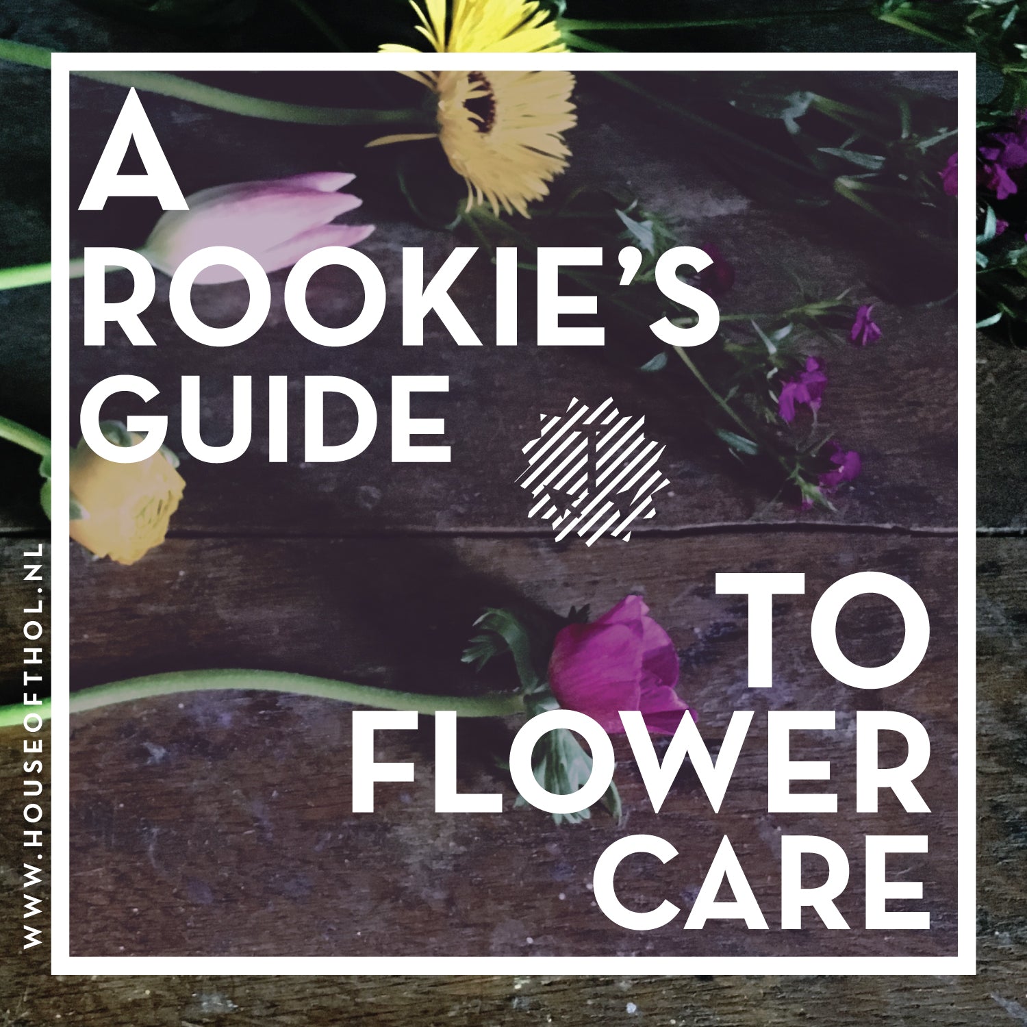 Step up your flower game – House of Thol