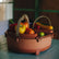 Patera Magna / reduce food waste, store fruit and vegetables better ...